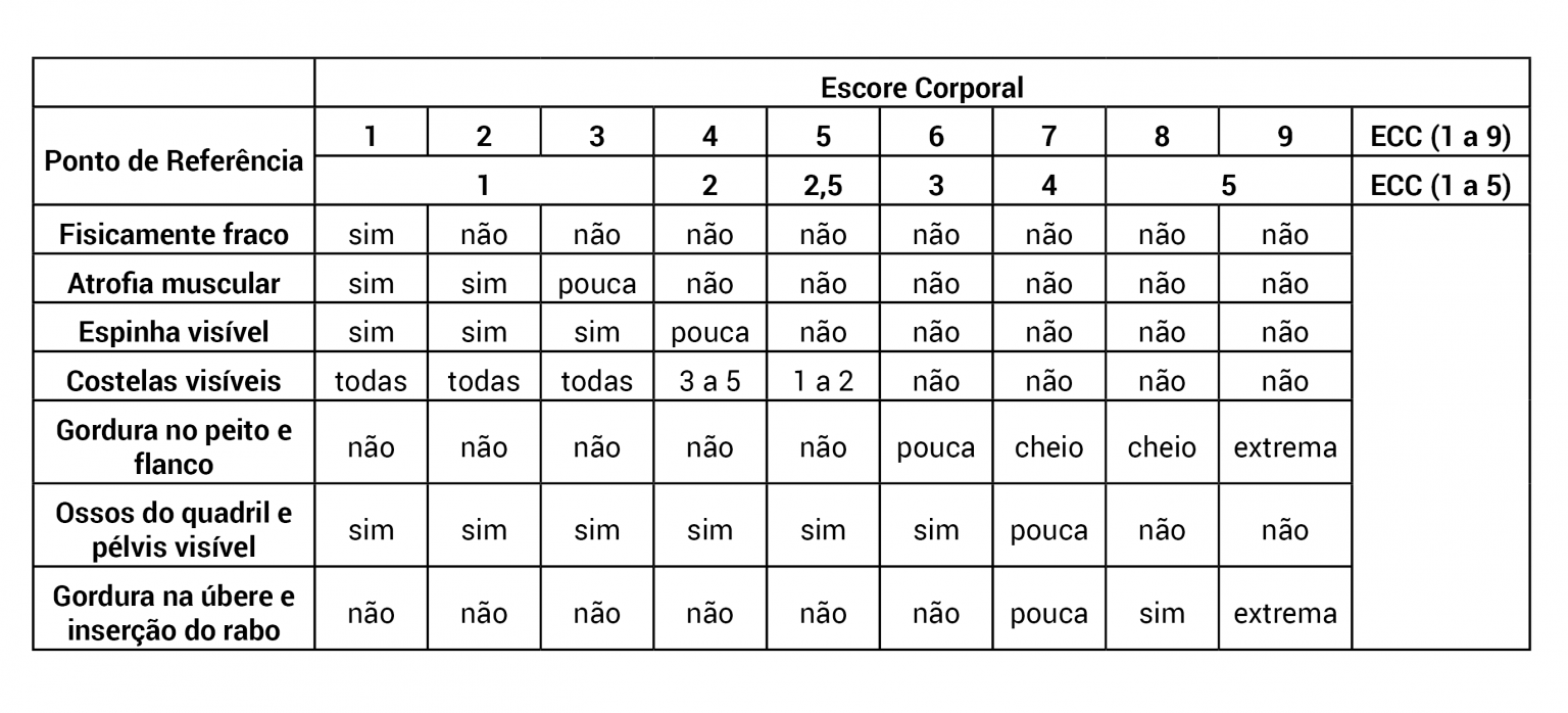 Como calcular o ECC e o que ele diz sobre o meu rebanho? - Pecuária do ...